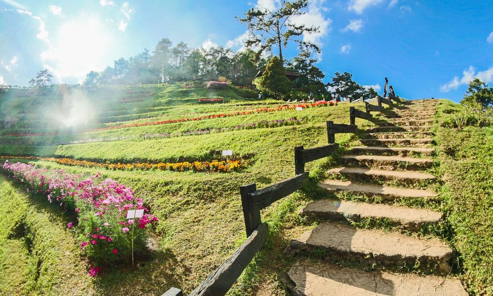 5月の予定と近況報告 | NPO法人PocoaPoco あんだんて(東松山) 木工 木のおもちゃ